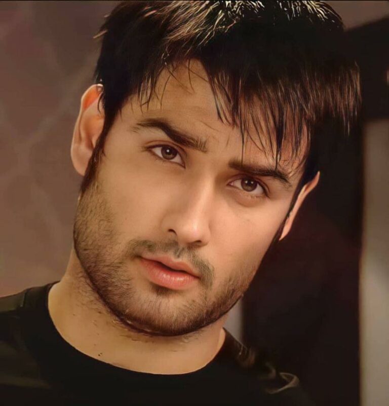 Vivian Dsena Age | Biography | Wiki | Wife | Family | Bigg Boss 18 ...